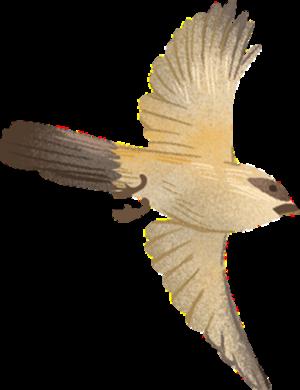 Oh, Lingkungan Jadi Rusak! - Flipbook IPAS Kelas V BAB 8 - Topik B by ...