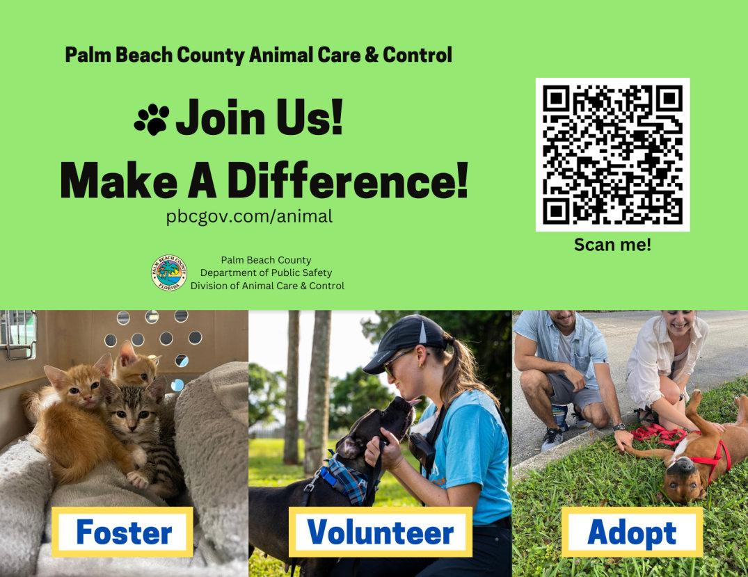 2024 Guide To Services by Palm Beach County Government - Issuu