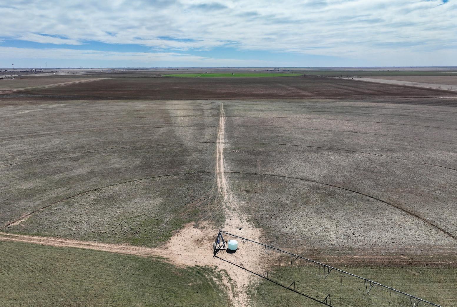 Swisher County Farm | Tulia, Texas by csmandson - Issuu