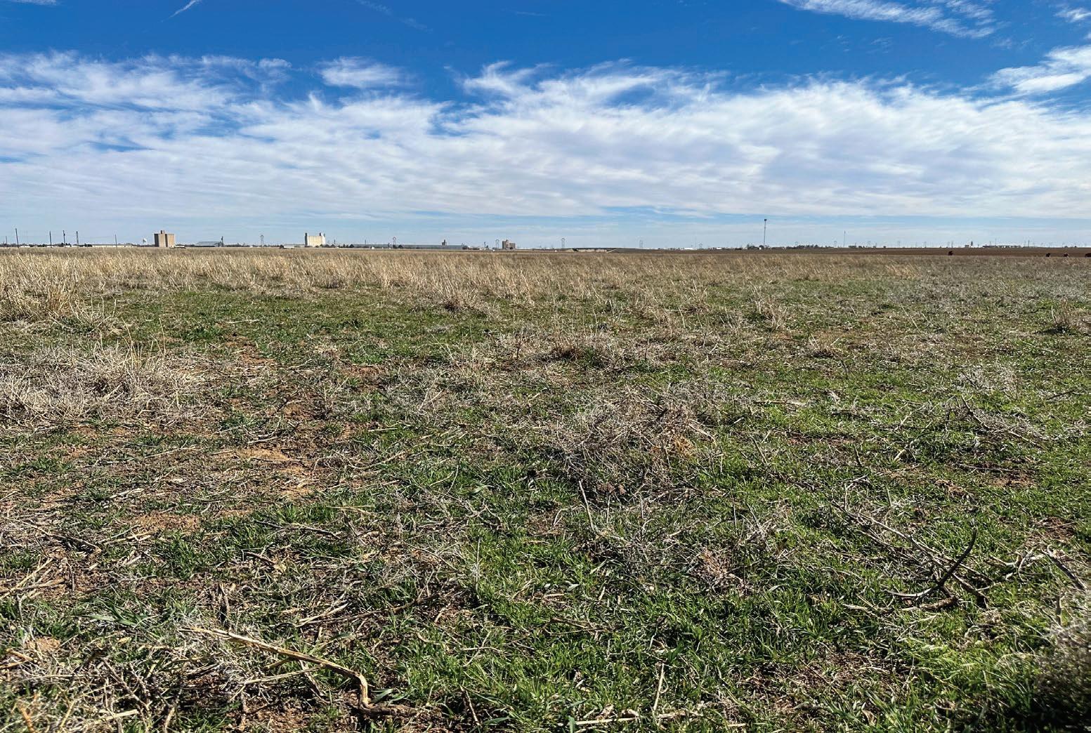 Swisher County Farm | Tulia, Texas by csmandson - Issuu