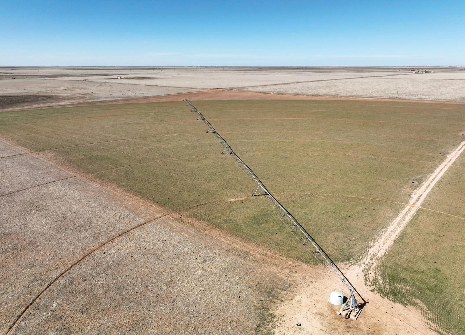 Swisher County Farm | Tulia, Texas by csmandson - Issuu