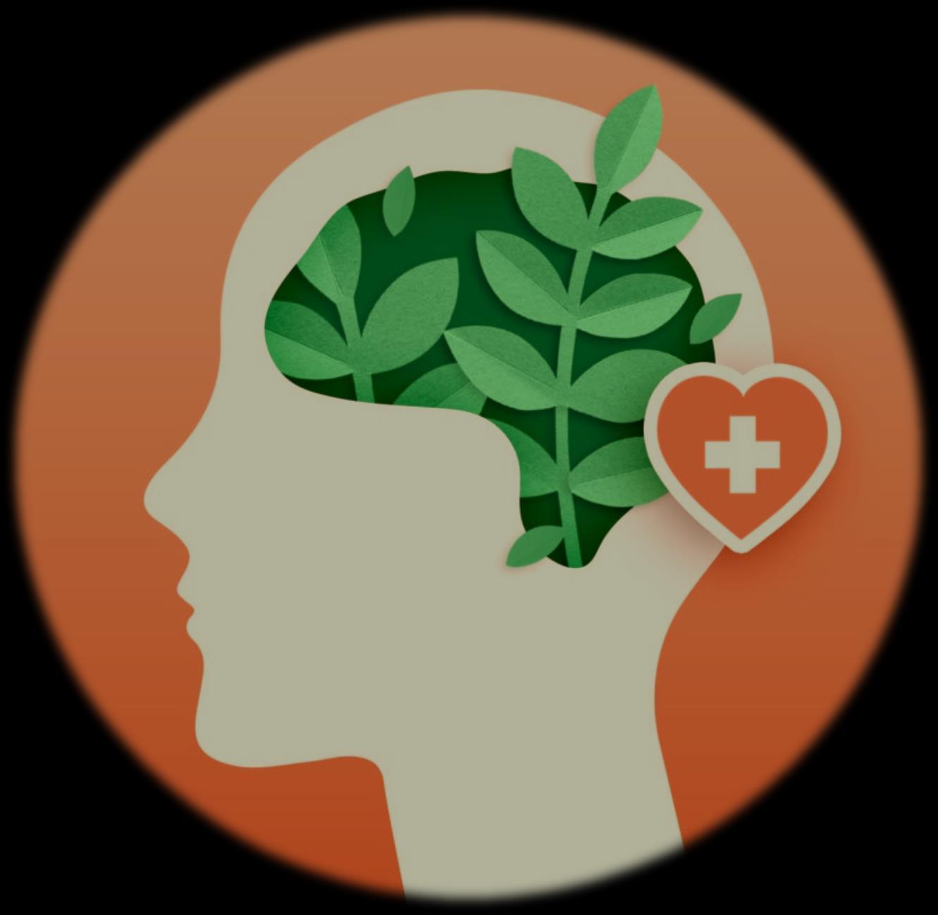 Plan Bienestar Terrasos 2024 by Yeraldin Pinzon - Issuu