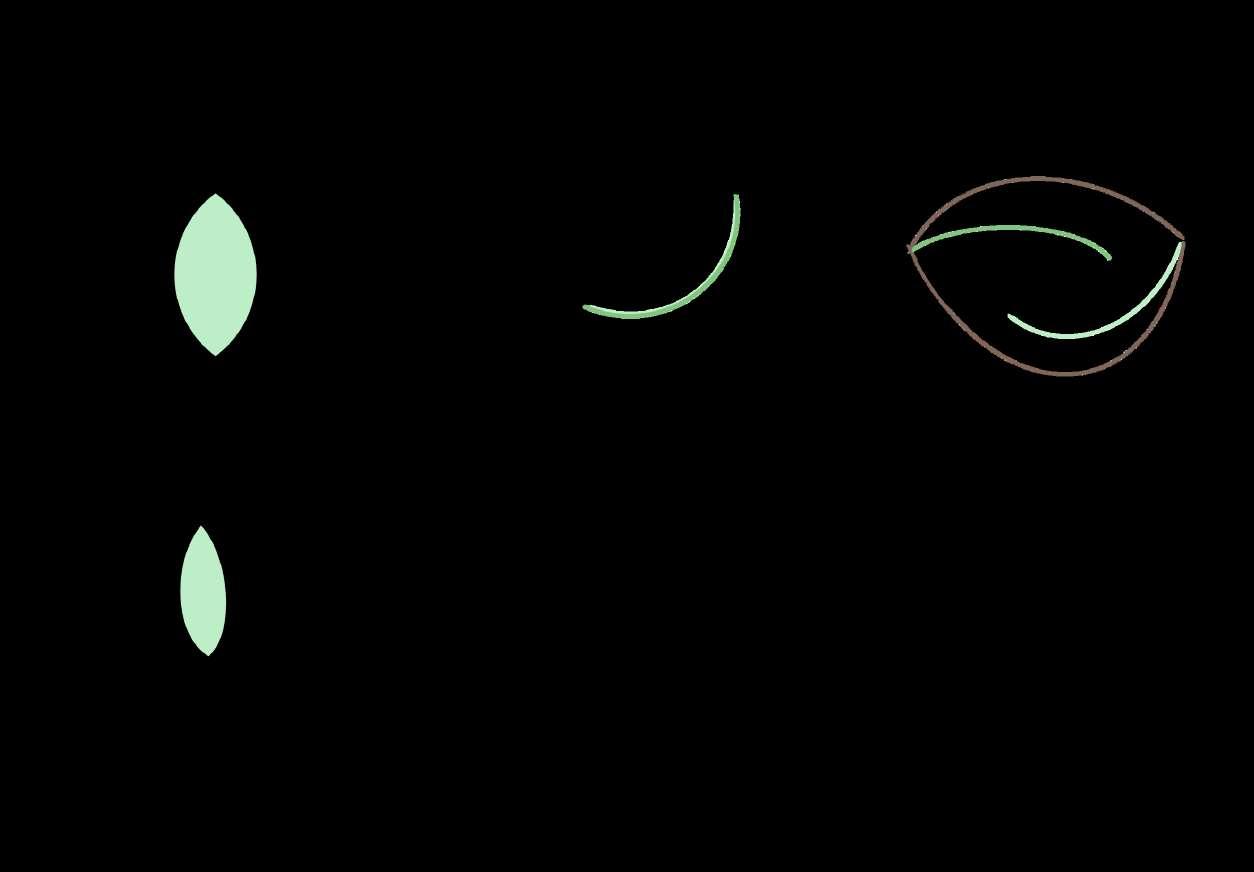 My first document by SOVANARY KIM - Issuu