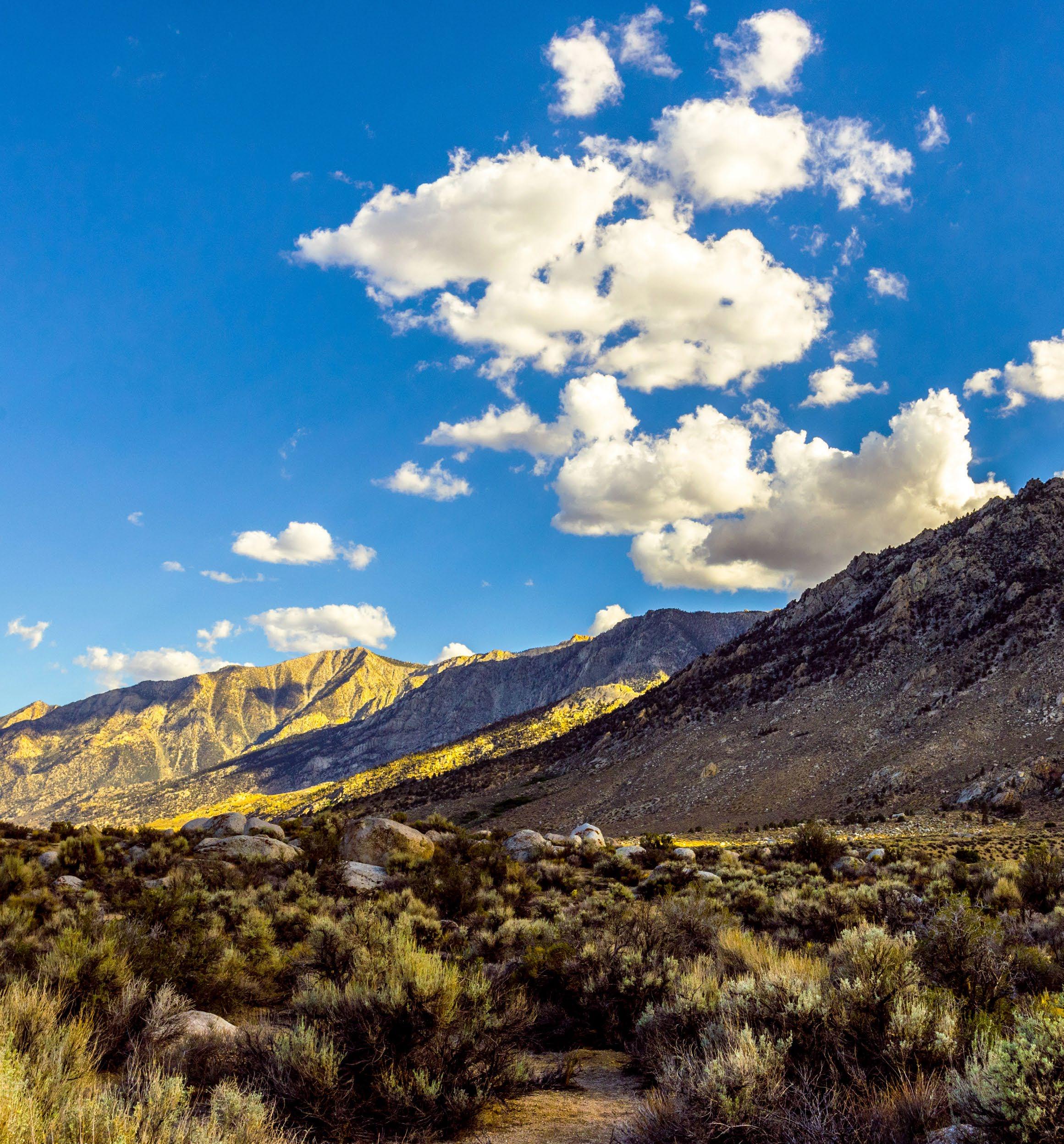 Riley Warren Portfolio by Riley Warren - Issuu