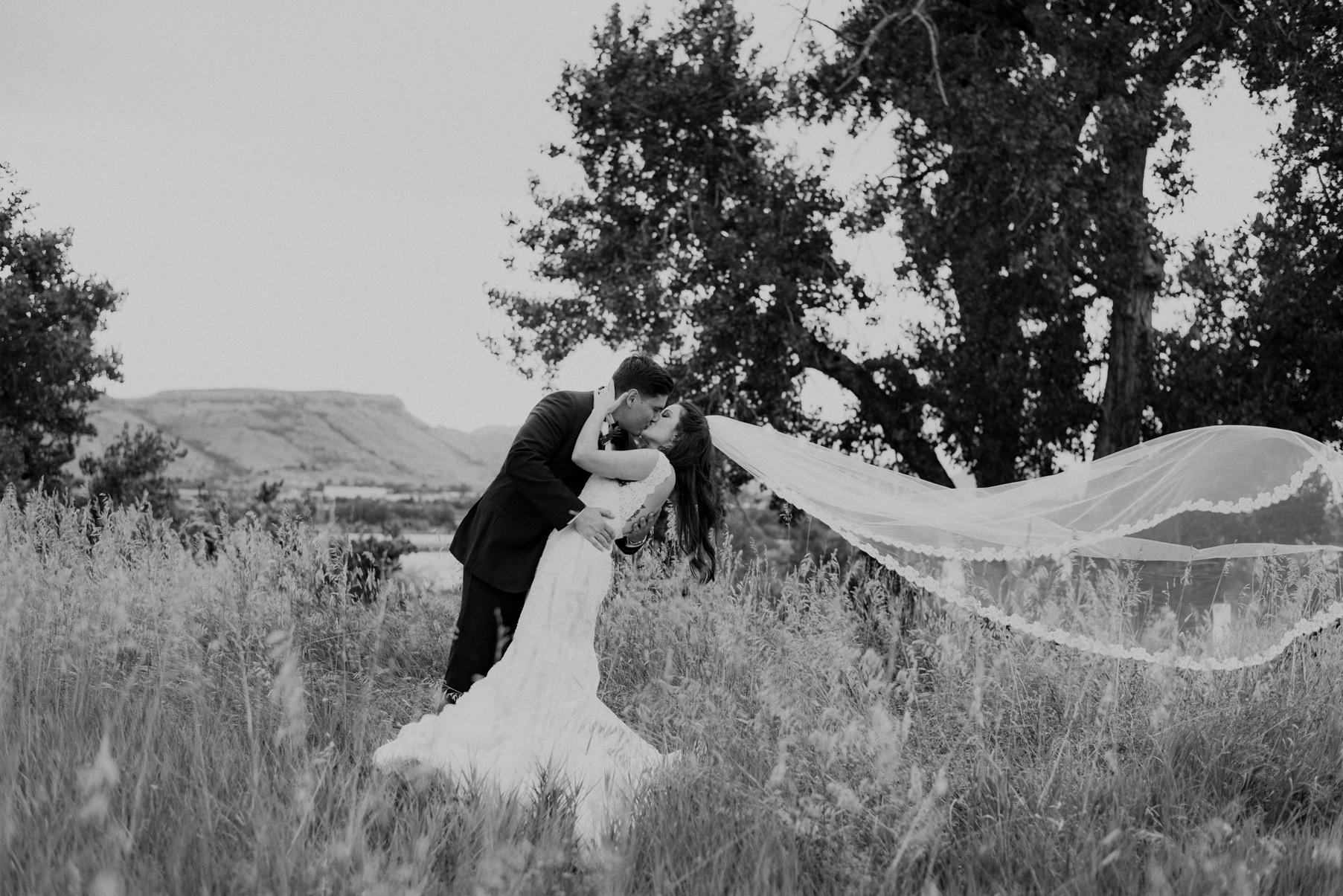 2024 Wedding Guide- The Vista at Applewood by thevistaatapplewoodevents ...