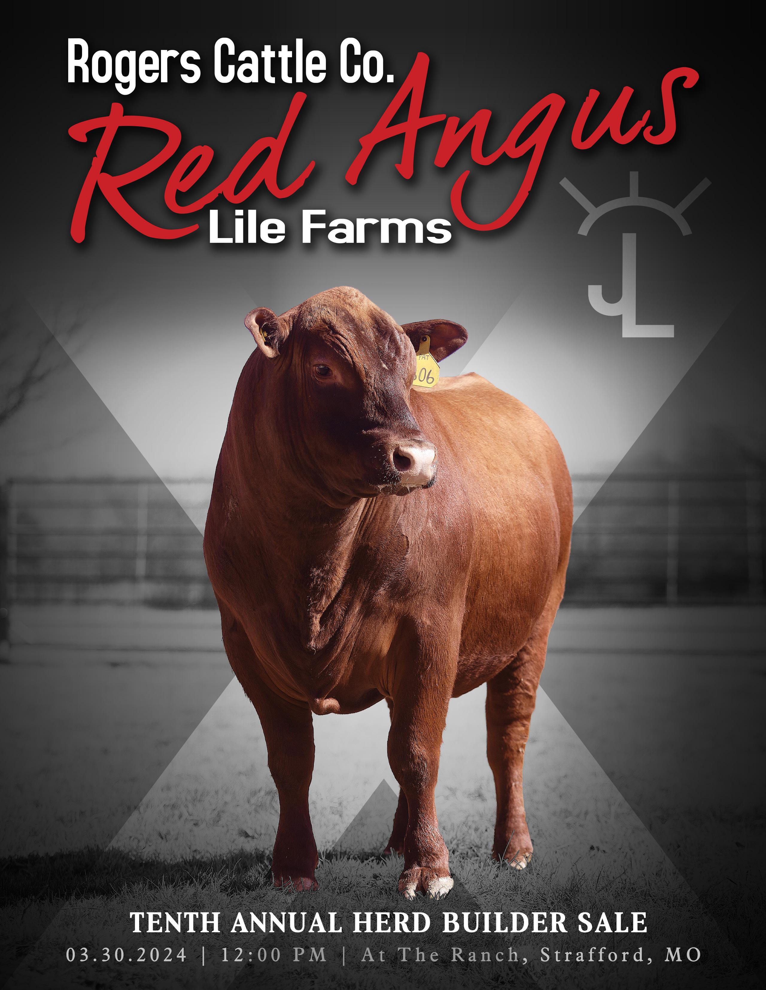 Rogers Cattle Co. 10th Annual Sale by signeffxgraphics - Issuu
