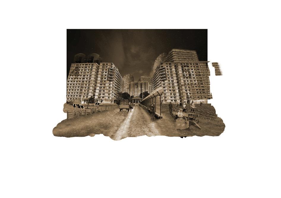 (Uni) A New Domestic Landscape (FYP) by Lim Teng Hui - Issuu