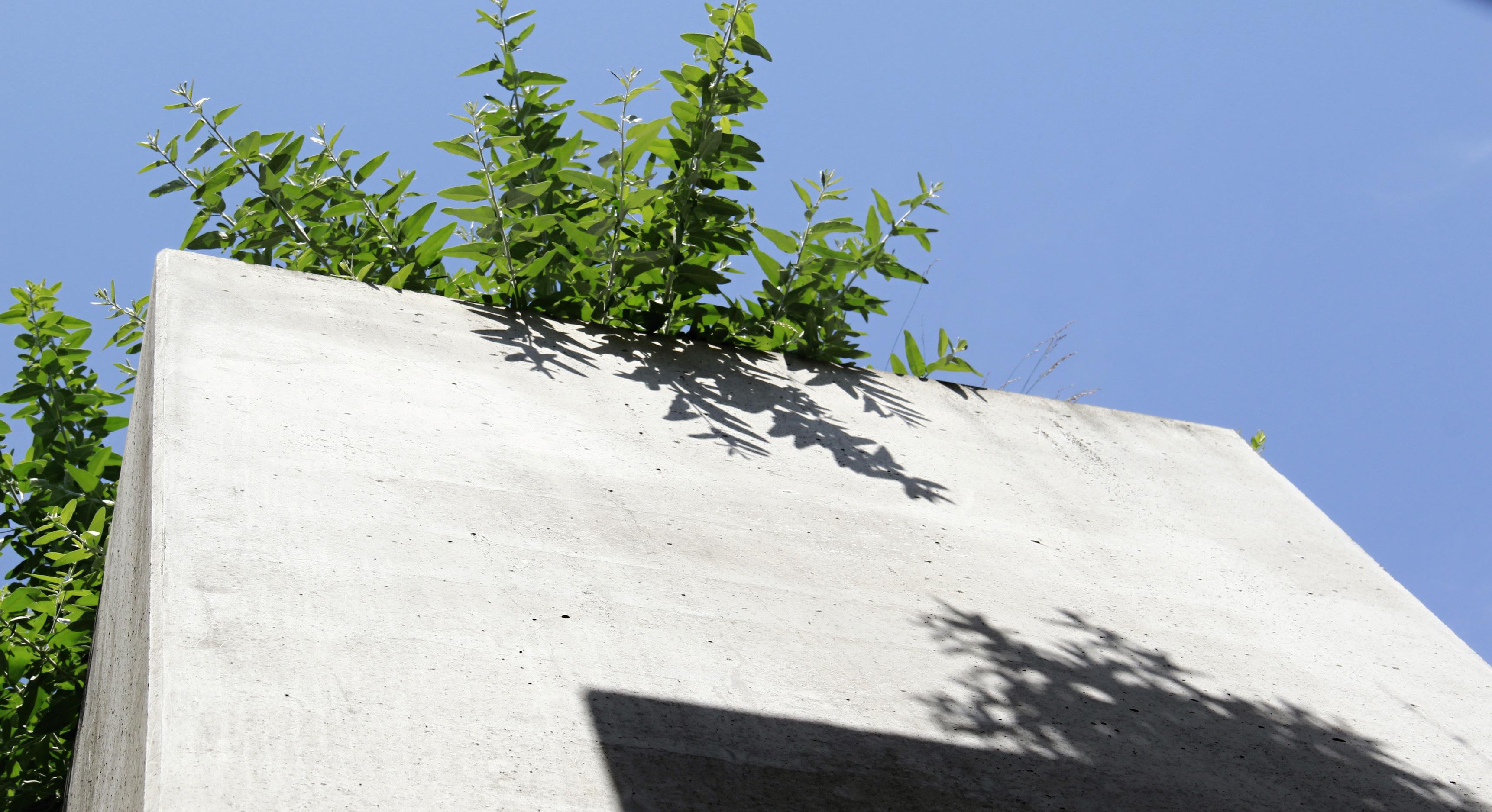 Kelvin Li_2024_Architectural Portfolio_Architect by Kelvin LI - Issuu