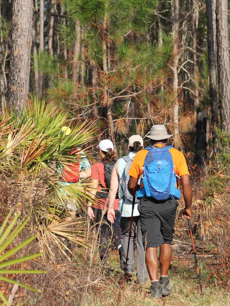 Florida Wildlife Corridor Foundation 2023 Impact Report by Florida ...