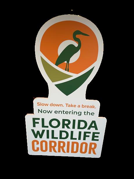 Florida Wildlife Corridor Foundation 2023 Impact Report by Florida ...