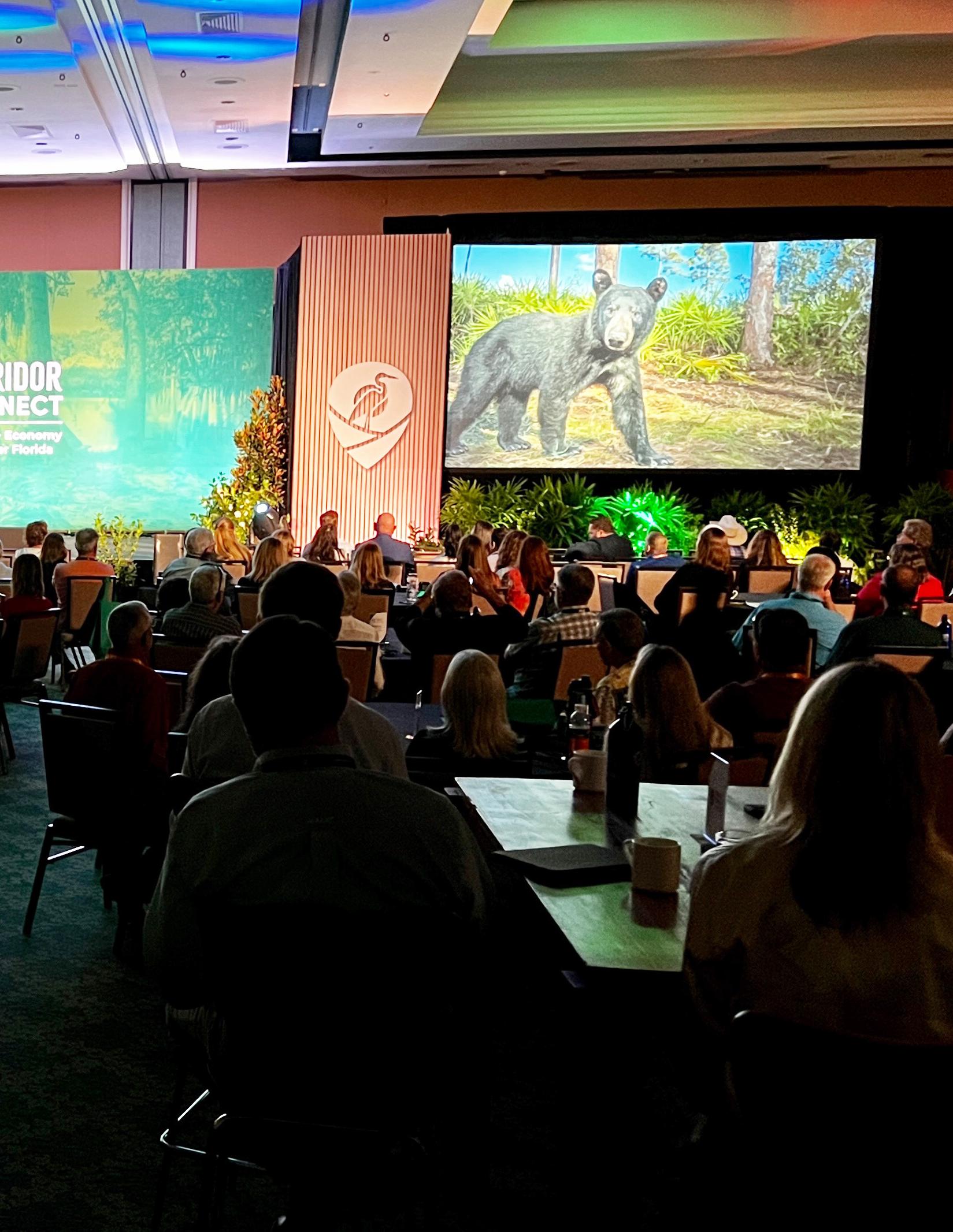 Florida Wildlife Corridor Foundation 2023 Impact Report by Florida ...