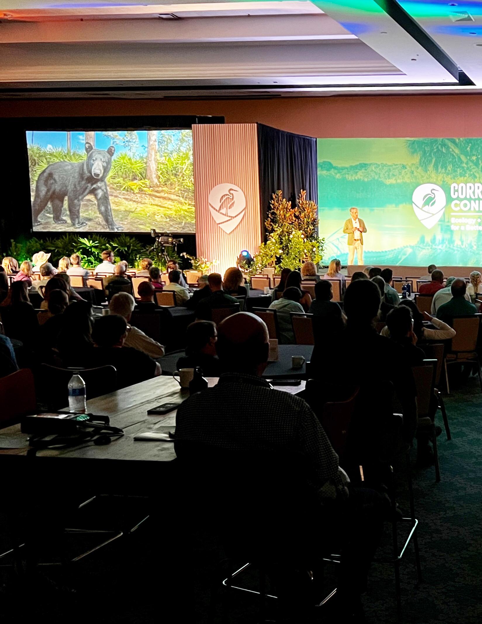 Florida Wildlife Corridor Foundation 2023 Impact Report by Florida ...