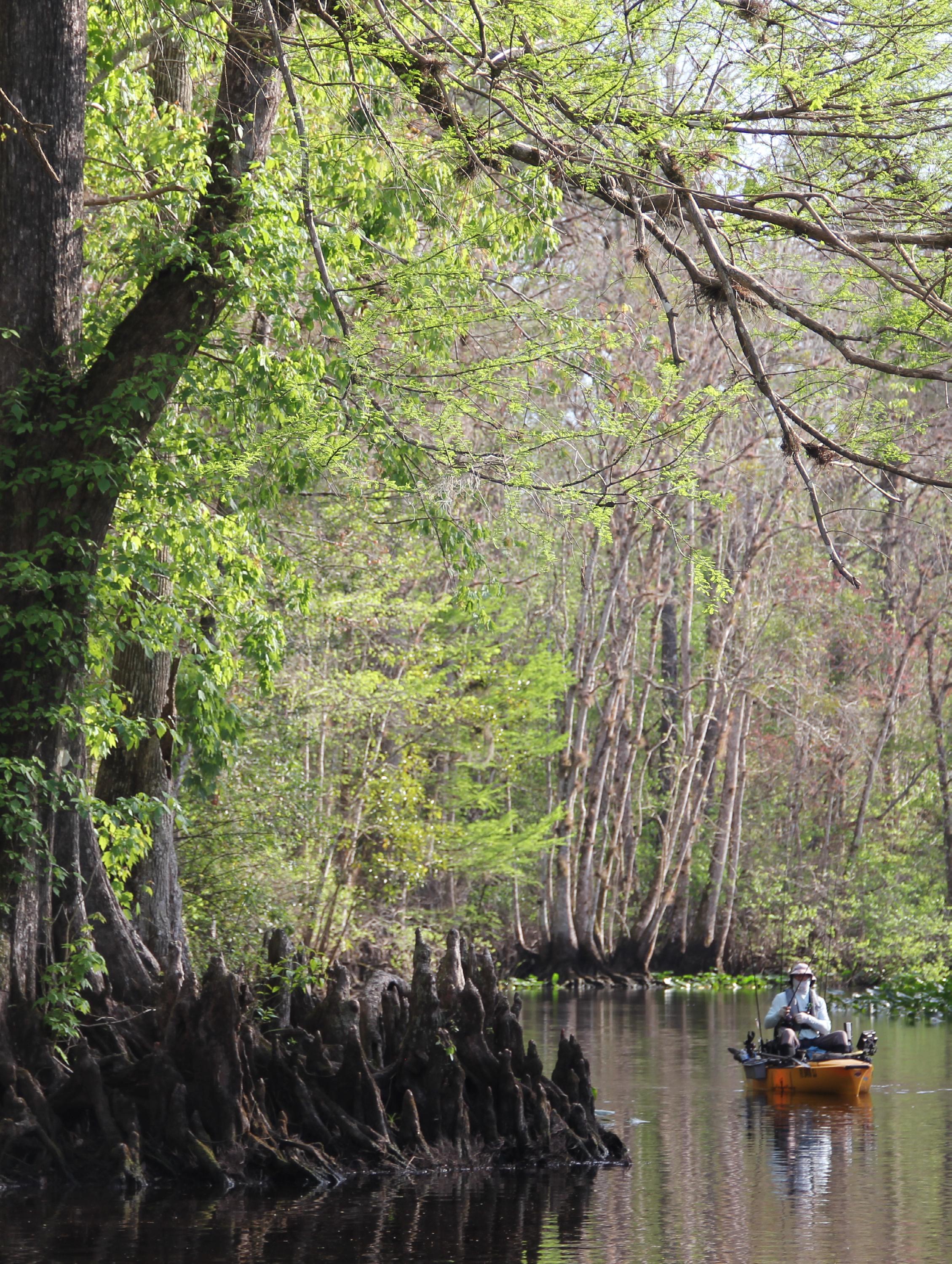 Florida Wildlife Corridor Foundation 2023 Impact Report by Florida ...