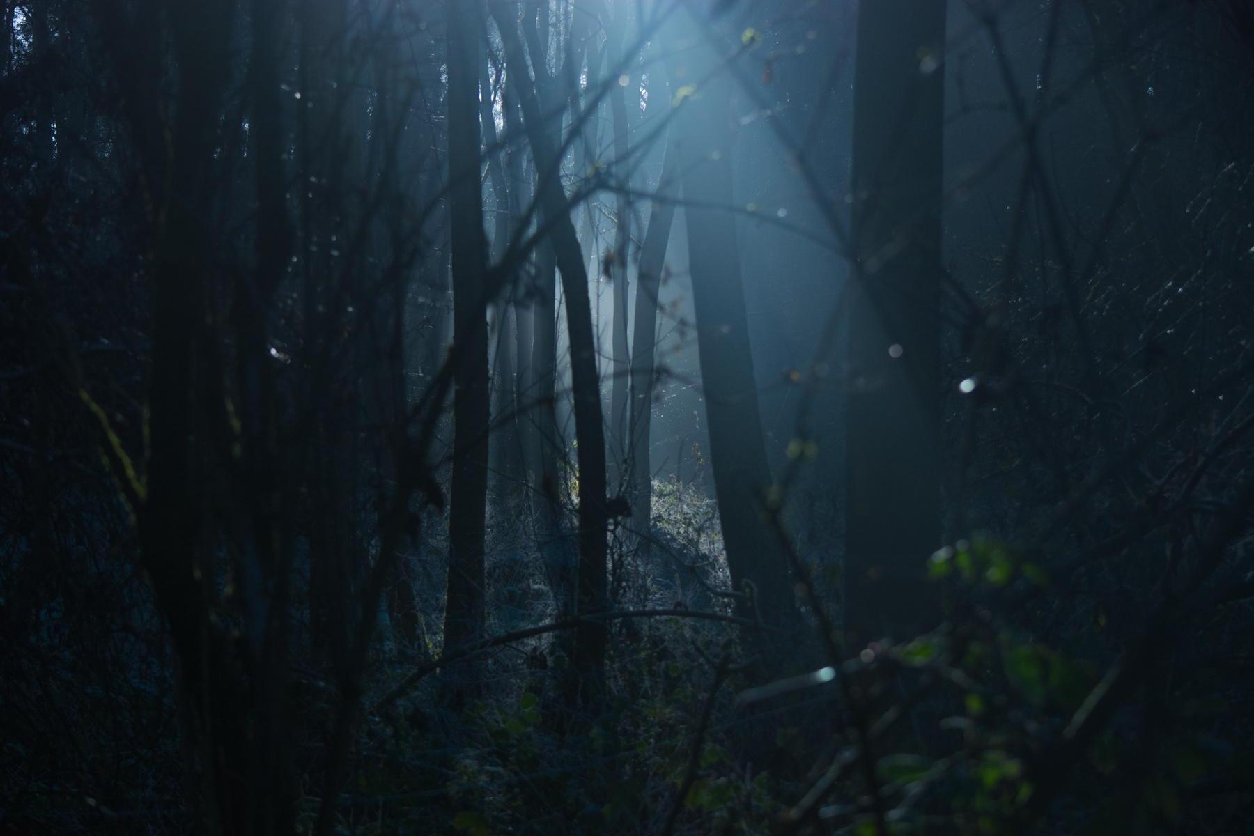 Kitsune - Jonathan Prieto 29.852.756 E-Book by Sir Chorus - Issuu