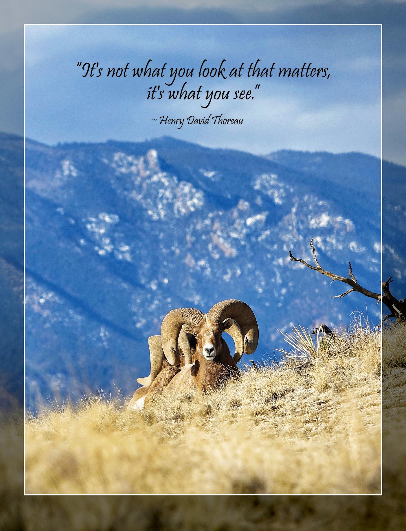 Western Hunter Magazine 2024 January/February by westernhunter - Issuu