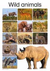 Grade R CAPS Catalogue by Macmillan Education South Africa - Issuu