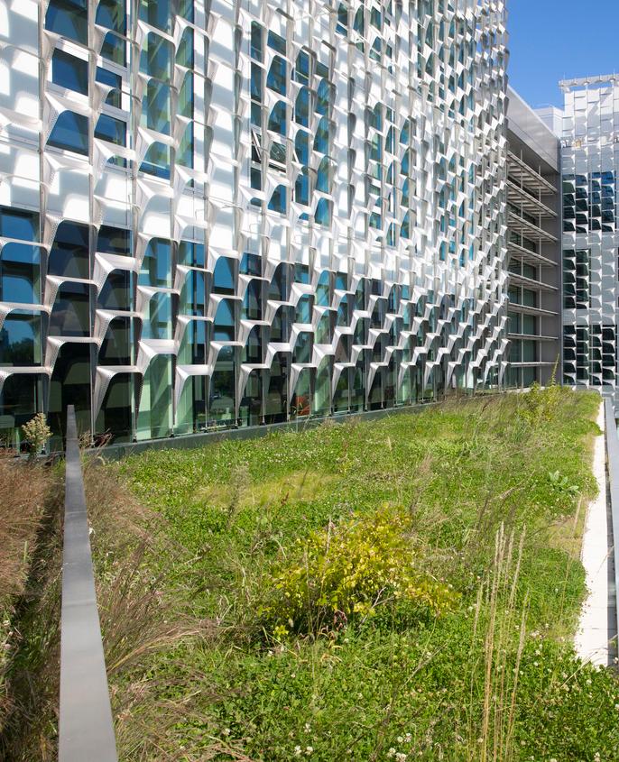 Harvard Sustainability Action Plan by Sustainable Harvard - Issuu