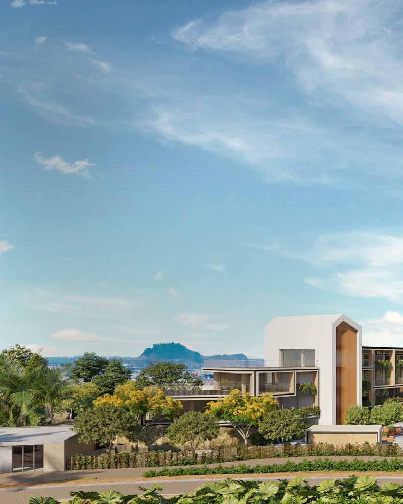 PLAZOLE / USTAY - URIBE SCHWARZKOPF by uribe.sch - Issuu