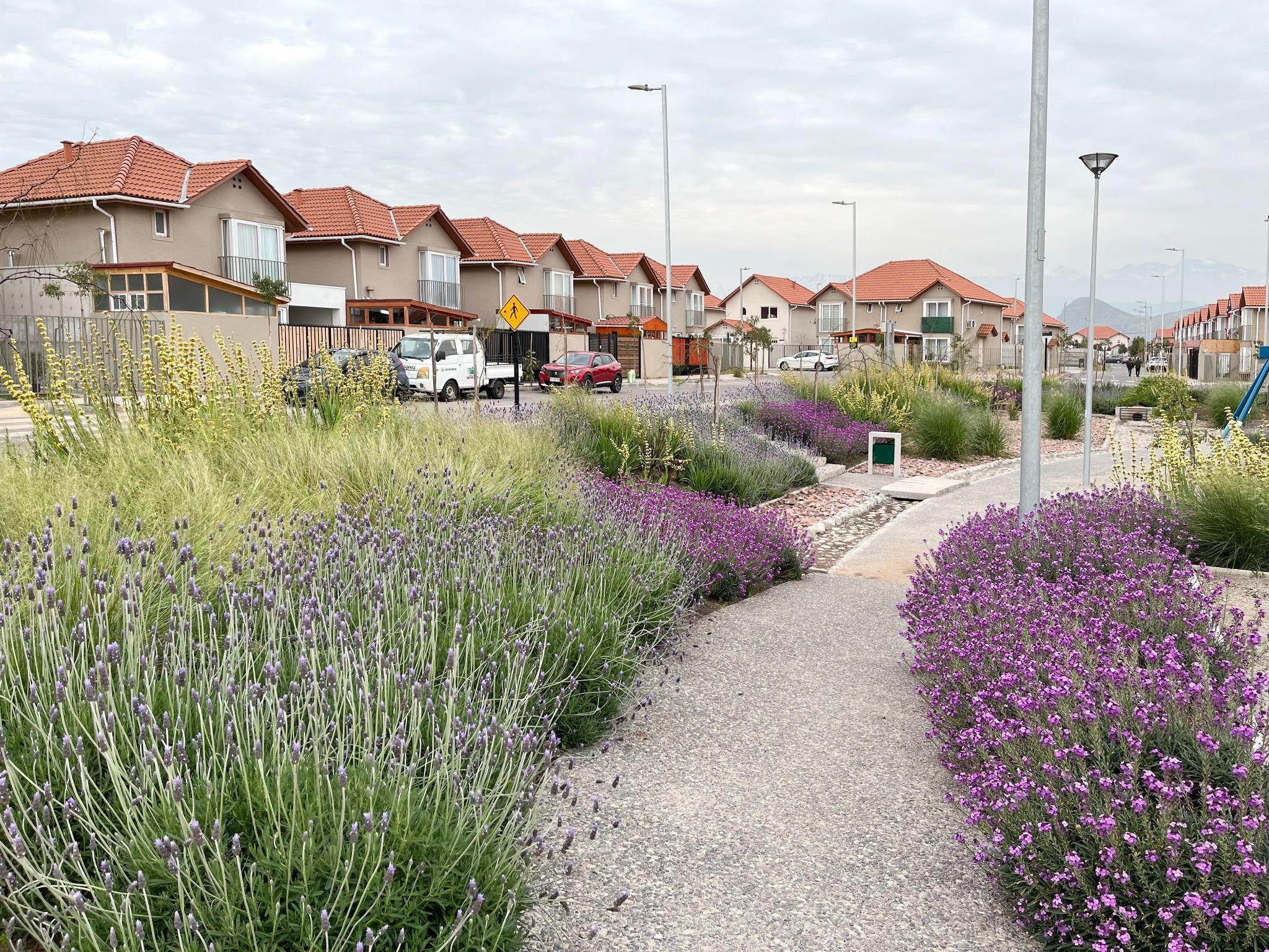 Paisaje Urbano / Paur/ Works by PAUR - Issuu