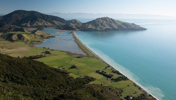 Wakapuaka - Our Taonga by Ngāti Tama ki Te Tauihu - Issuu