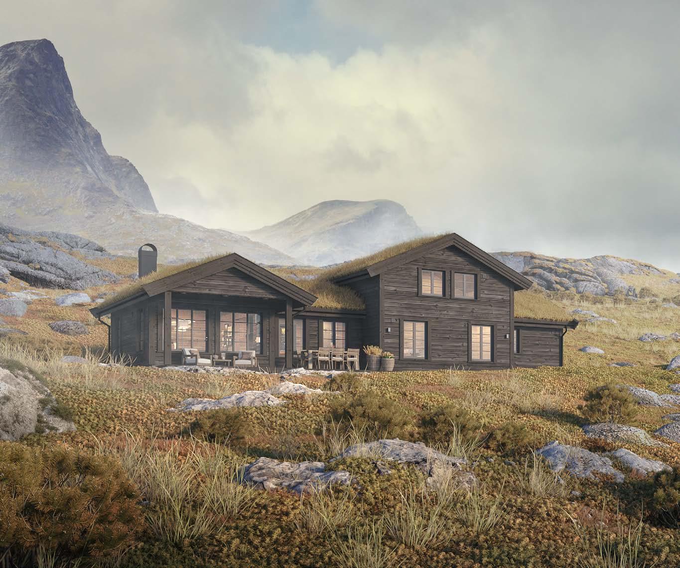 TELEMARKHYTTER KATALOG 2024/2025 by Faun Gruppen - Issuu