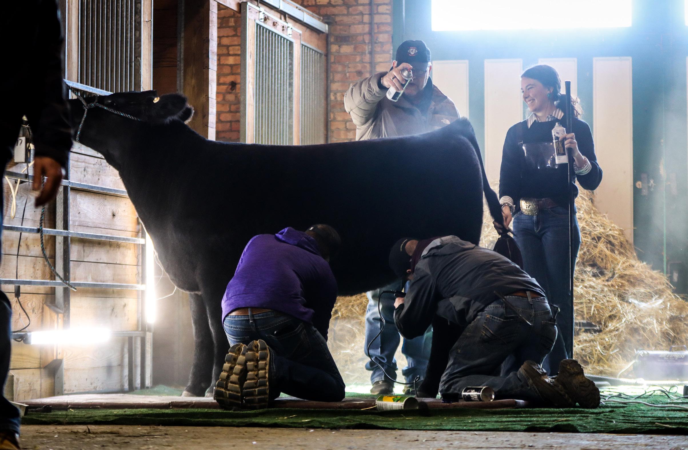Illinois Beef March/April 2024 by Illinois Beef/Illinois Angus News/The ...