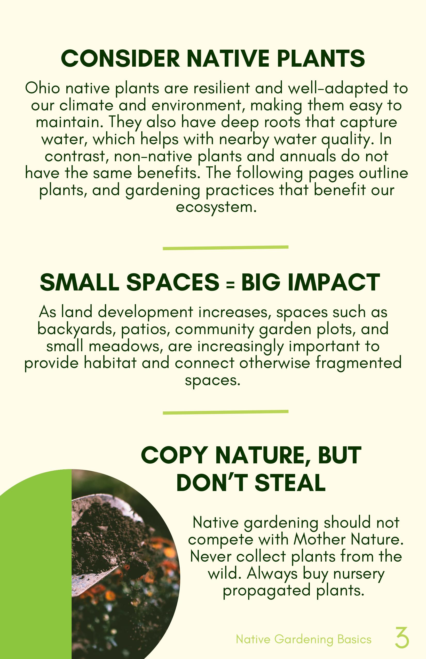 This Garden Loves The Earth, Native Gardening Booklet by Lily McGraw ...