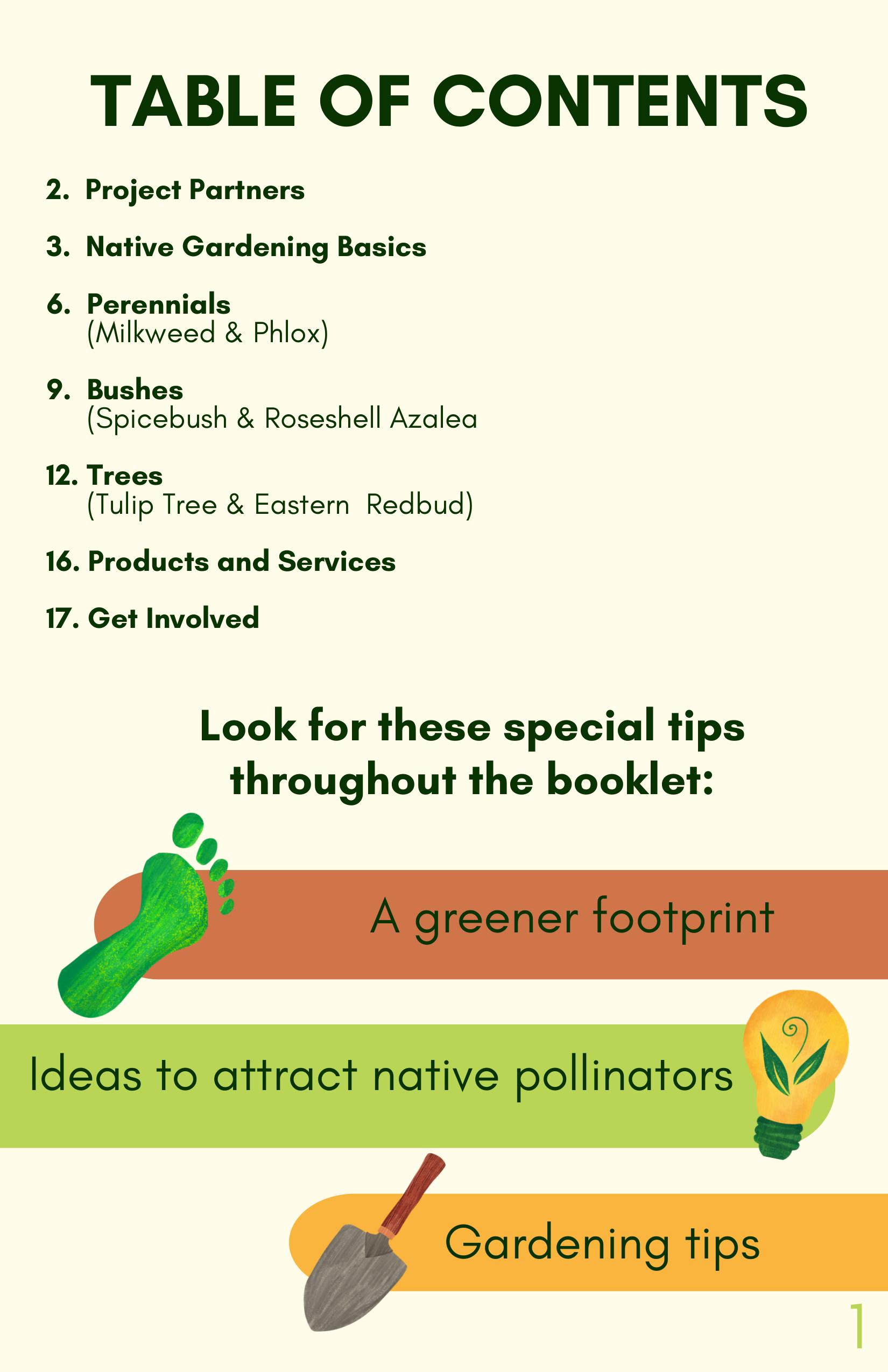 This Garden Loves The Earth, Native Gardening Booklet by Lily McGraw ...