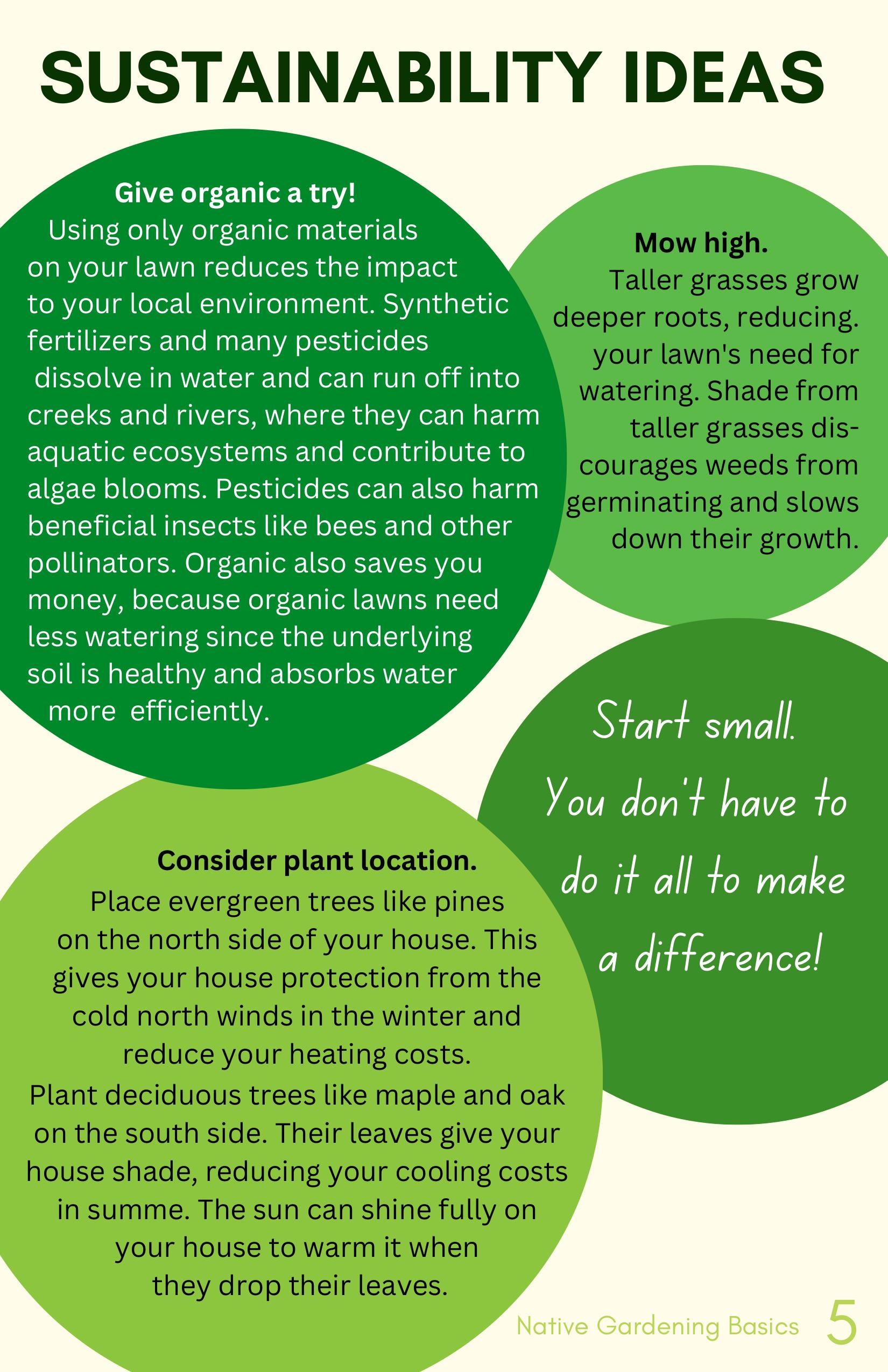 This Garden Loves The Earth, Native Gardening Booklet by Lily McGraw ...