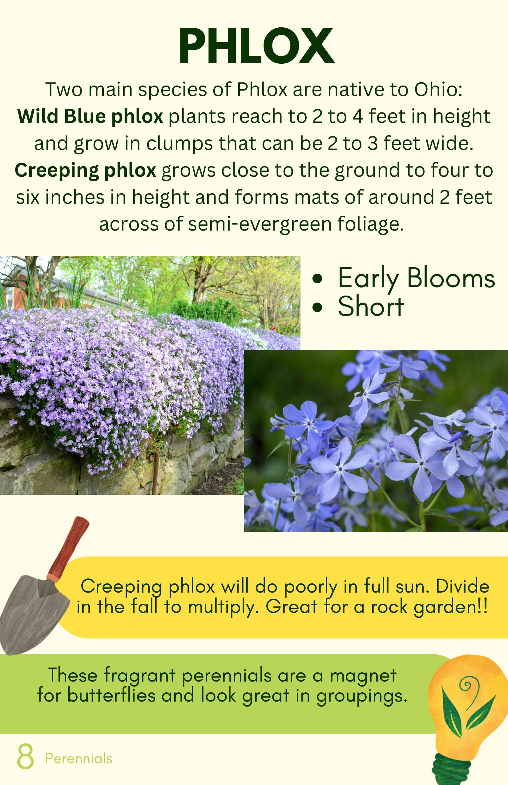 This Garden Loves The Earth, Native Gardening Booklet by Lily McGraw ...