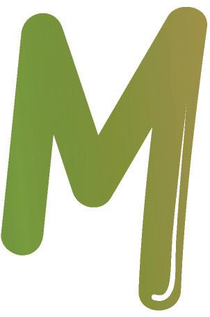 2024 Spring/Summer Program and Events Guide by Wheeling Park District ...