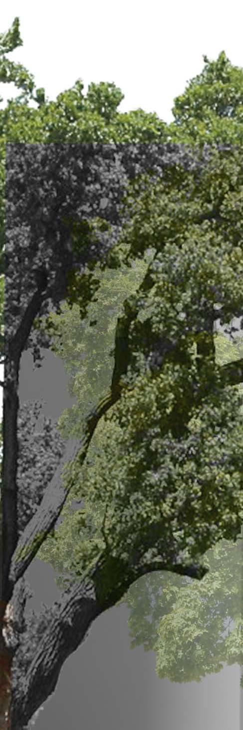 Edward Hodge Architecture + Design Portfolio by EdwardHodge - Issuu