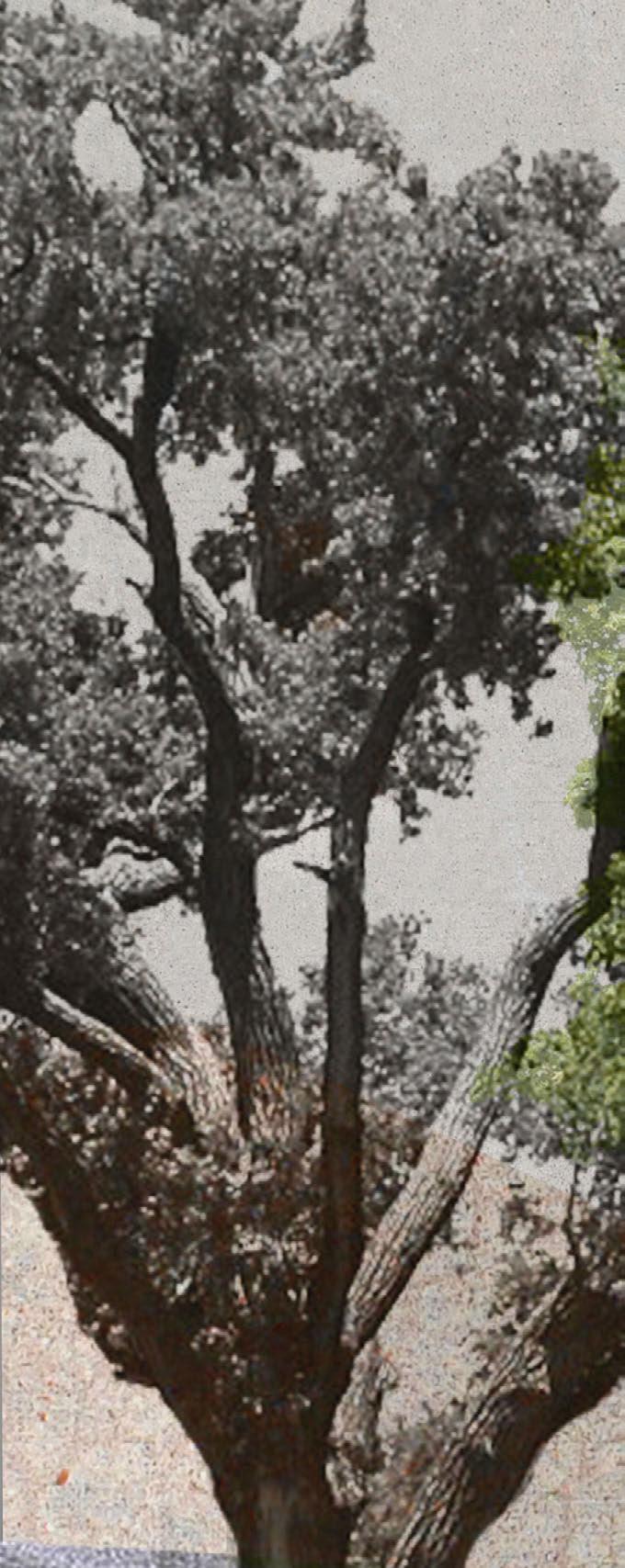 Edward Hodge Architecture + Design Portfolio by EdwardHodge - Issuu