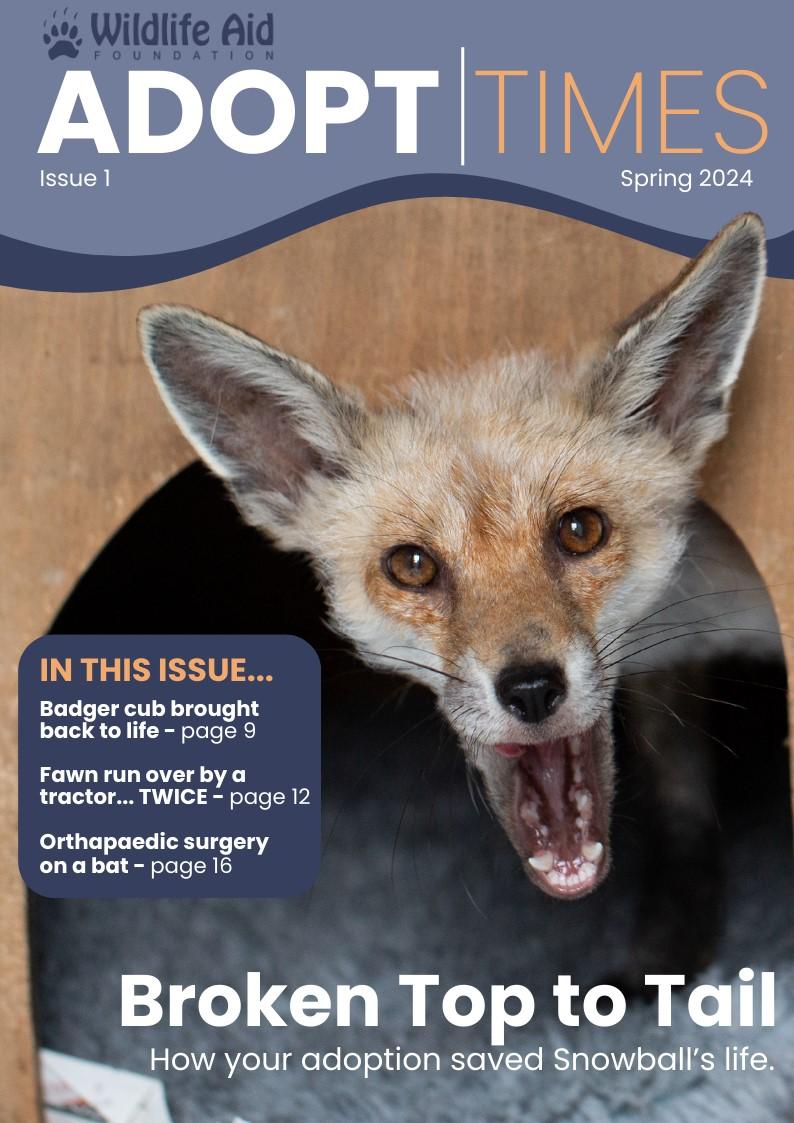 Adopt Times | Issue One by wildlifeaid - Issuu