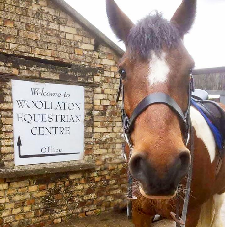 360@Sheb - Activities Programme by Shebbear College - Issuu