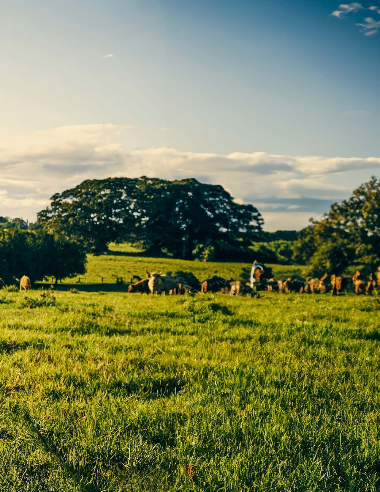 2023 Annual Report by Horizon Farm Credit - Issuu