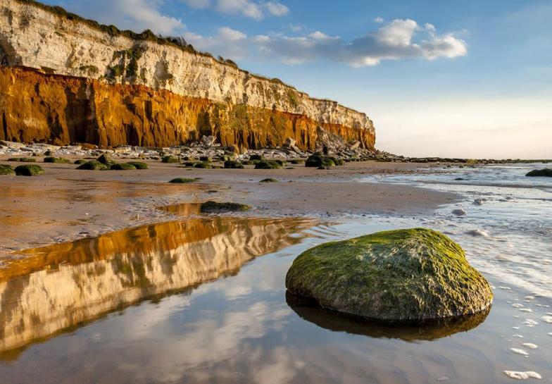 Wellgate Spring Newsletter 2024 by millie.powell - Issuu