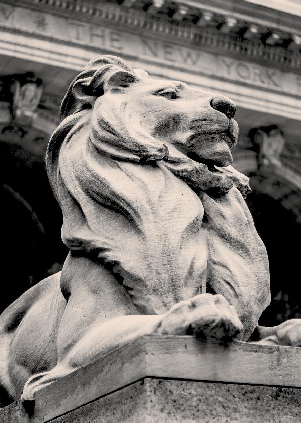 Nader Kash | New York by Nader Kash - Issuu