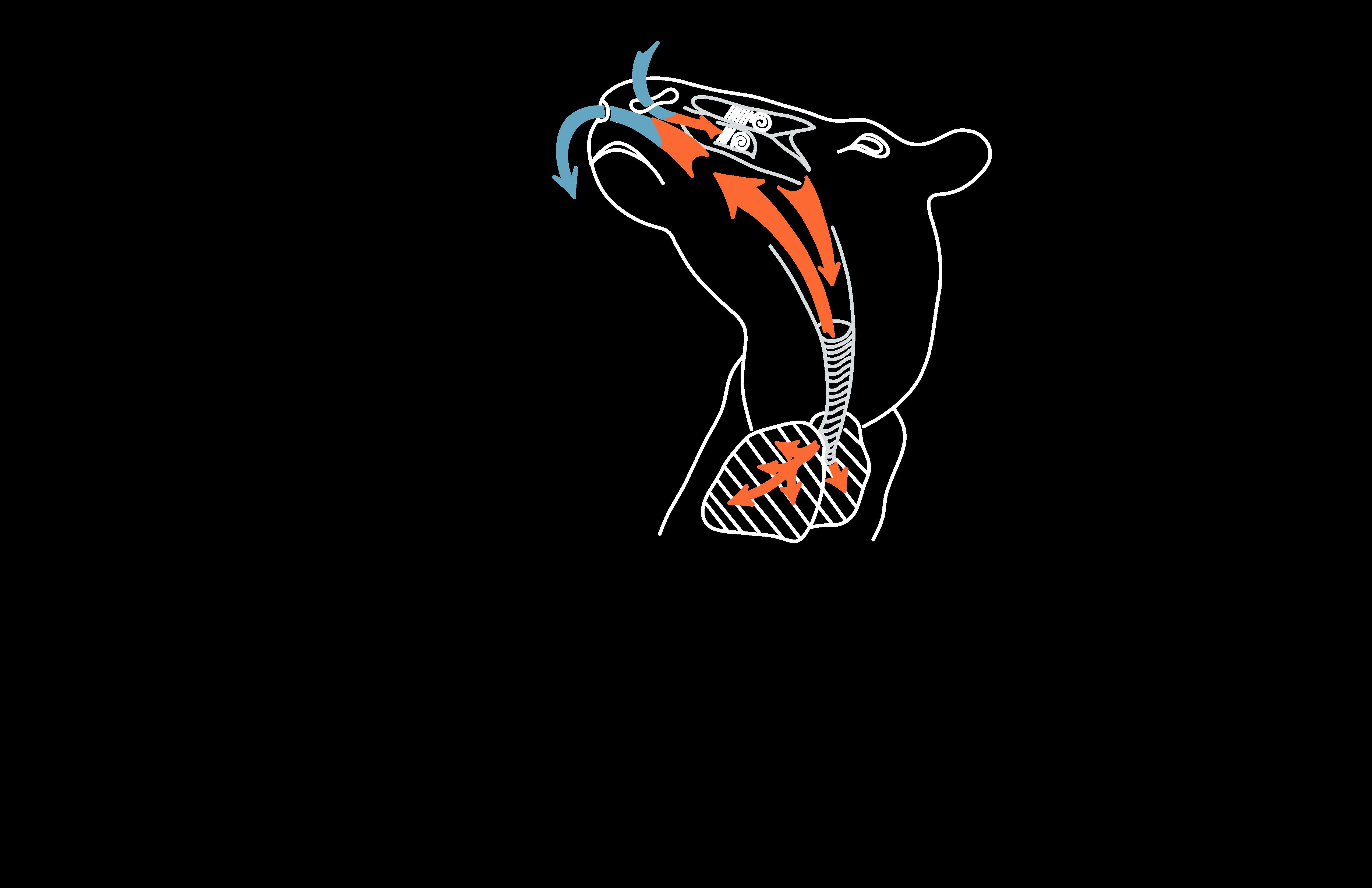 Justus Graham_2024 Architectural Portfolio by JustusBGraham - Issuu