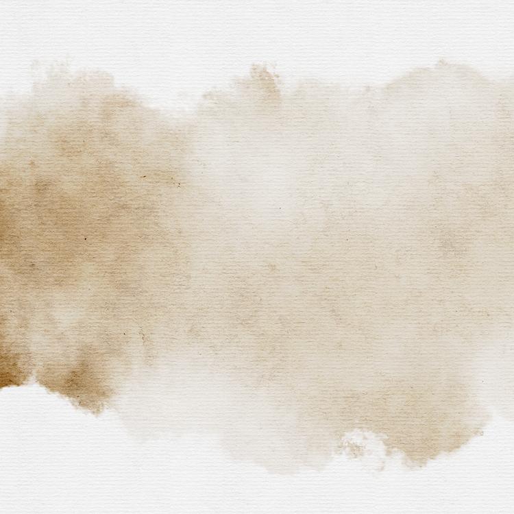 CoL - Willie Tolliver Sr by Thanh Lam - Issuu