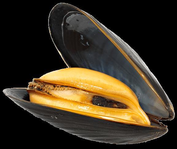 Official School Paper Publication of Culiat High School 2024 by Liezel ...