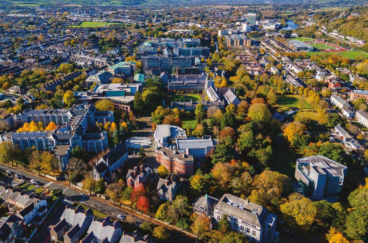 UCC Postgraduate Courses by discoverUCC - Issuu