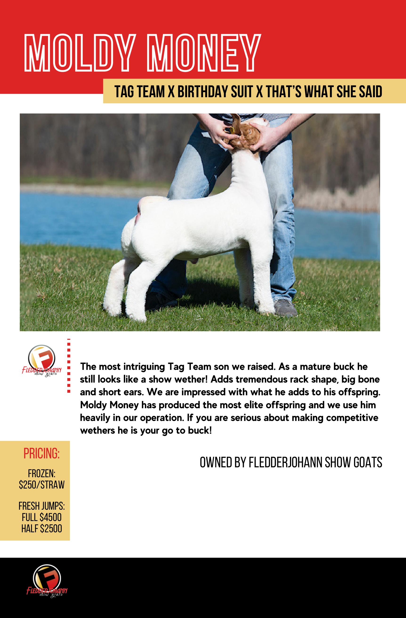Fledderjohann Show Goats- 2024 Sire Catalog by Emma Mathews - Issuu