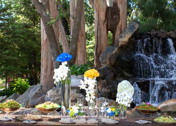 Calamigos Ranch Events Brochure by Meier Publishing - Issuu