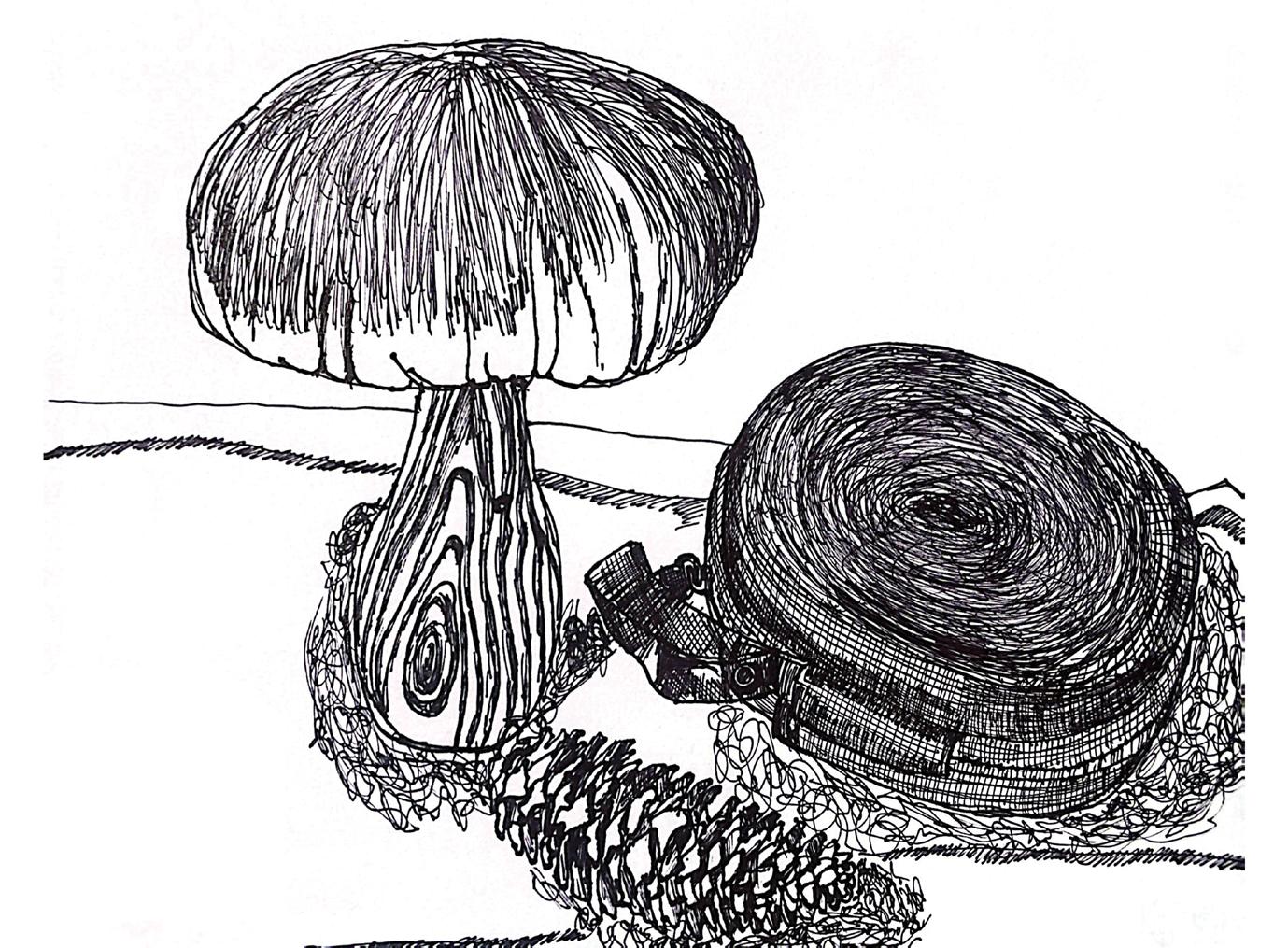 Joy Xu Portfolio by Joy Xu - Issuu