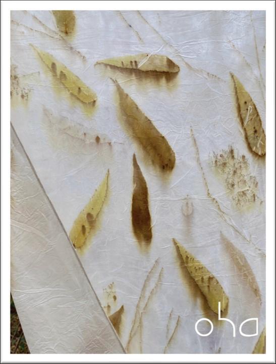 Catalogus deelnemers KunstAkker-EXPO 2024 by Robert Neyt - Issuu