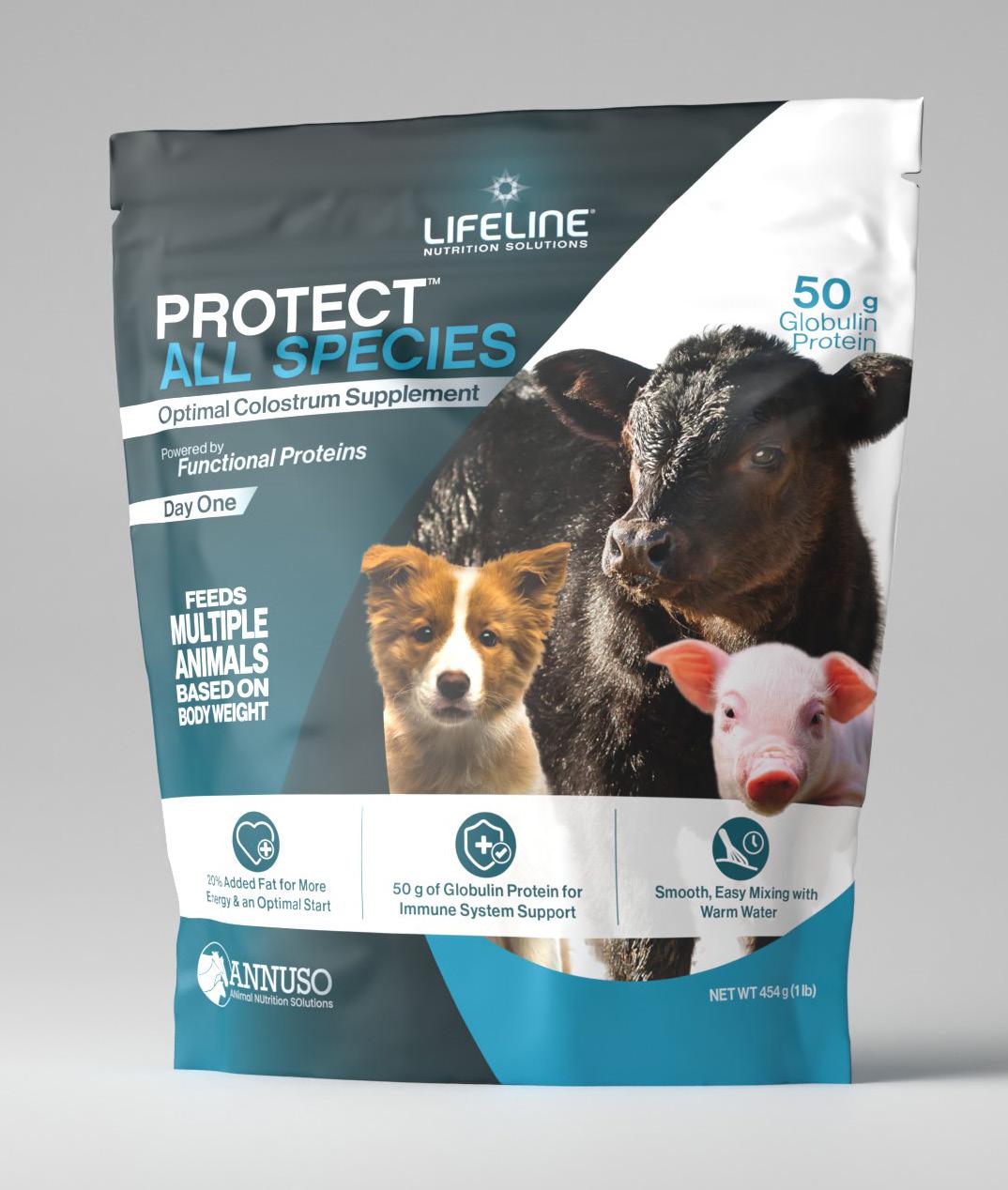 LIFELINE-ANNUSO Product Catalog - 2024 by LIFELINE-ANNUSO - Issuu