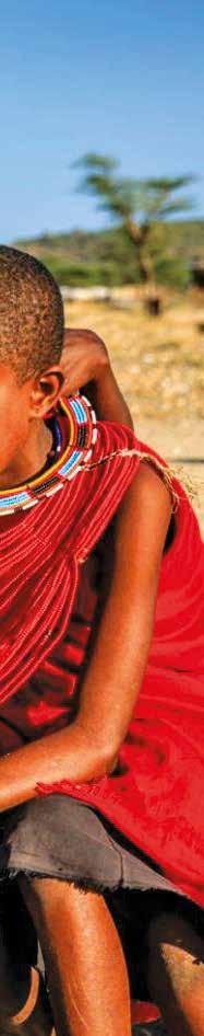 FAWE Strategic Plan (2024-2028) by Forum for African Women ...