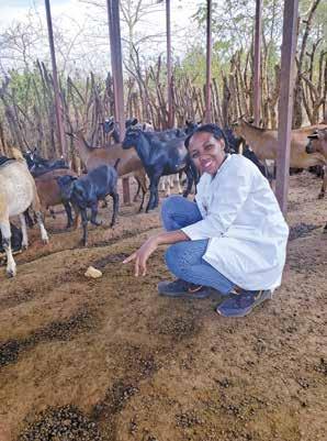 FAWE Strategic Plan (2024-2028) by Forum for African Women ...