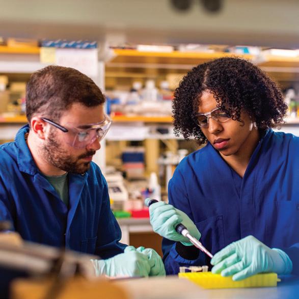 Northeastern University Bouvé College of Health Sciences Undergraduate ...